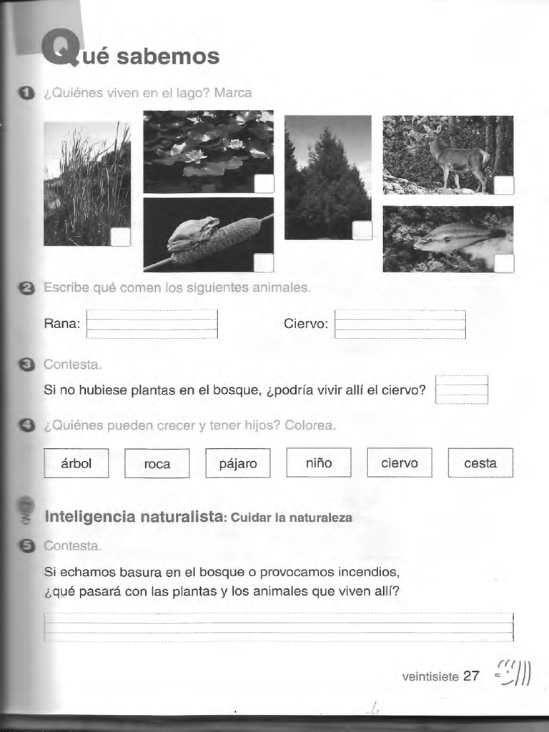 CCNN T3 Segundo Primaria | PDF