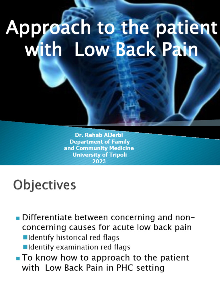 Low Back Pain | PDF