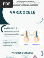 Grados de Varicocele: Clasificación y Evaluación | PDF | Sistema ...