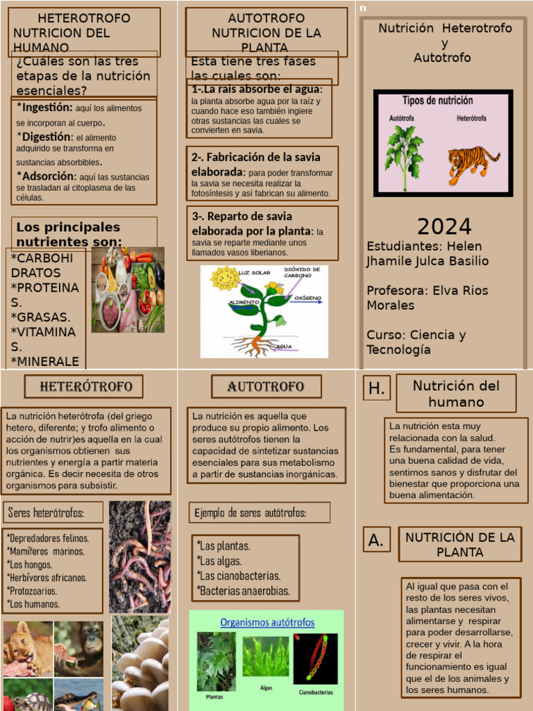 Triptico de Cyt Terminado | PDF