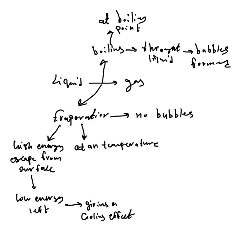 Liquid To gas-FG SC110 Eyad Amr | PDF