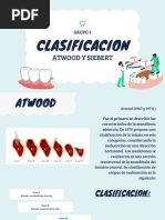 Clasificación de Defectos del Reborde Seibert | PDF