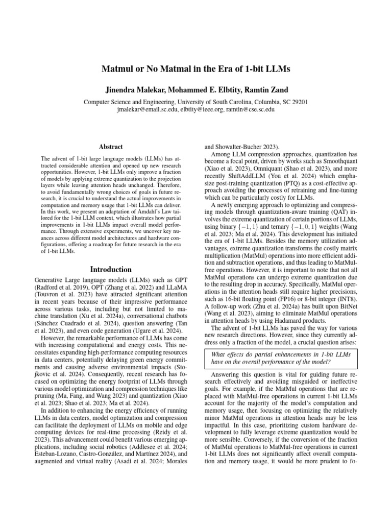 Matmul or No Matmal in The Era of 1-Bit LLMs | PDF