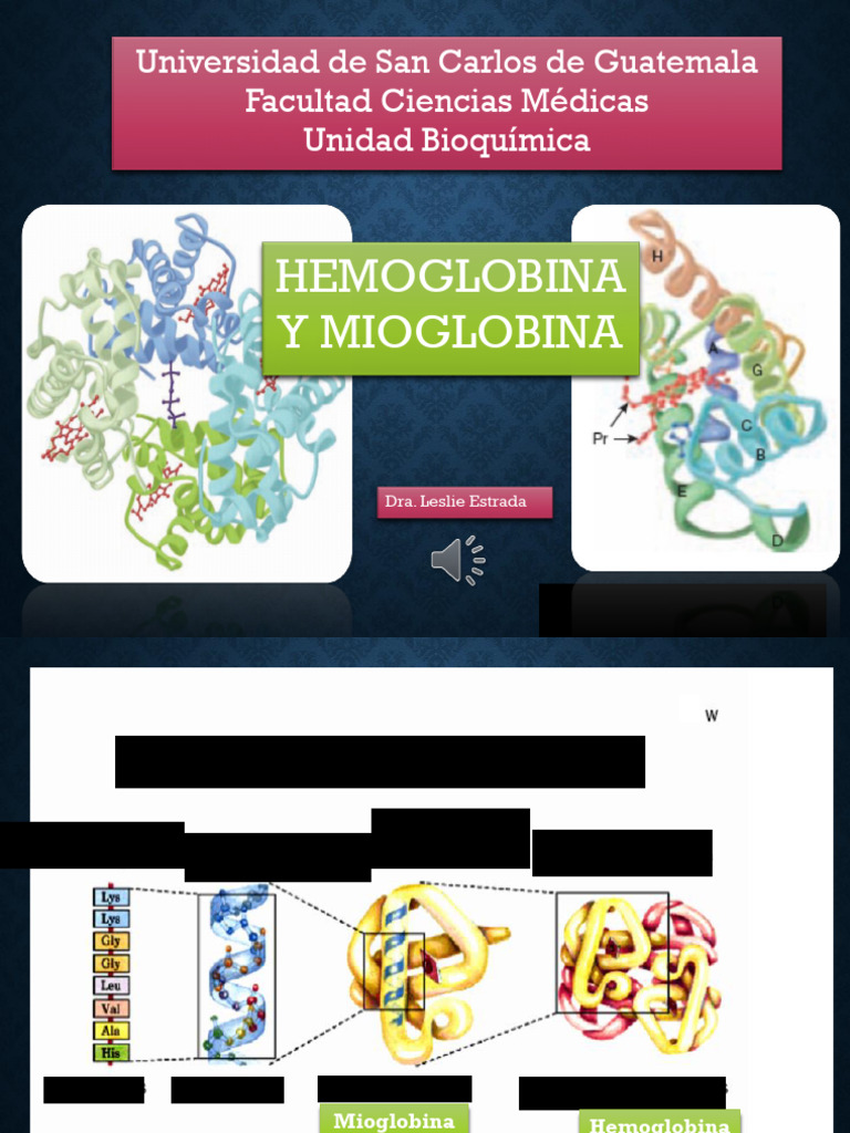 HEMOGLOBINA Y MIOGLOBINA Dra Lesly | PDF
