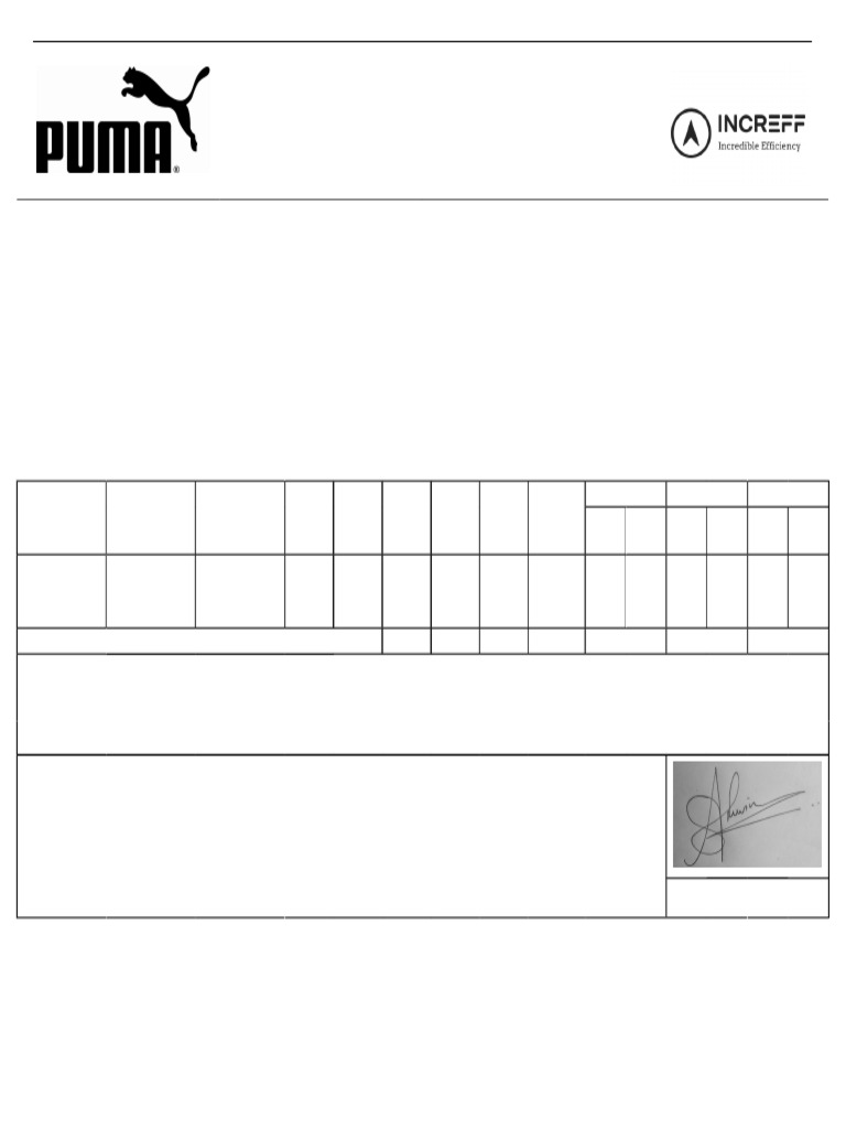 Facture Puma | PDF