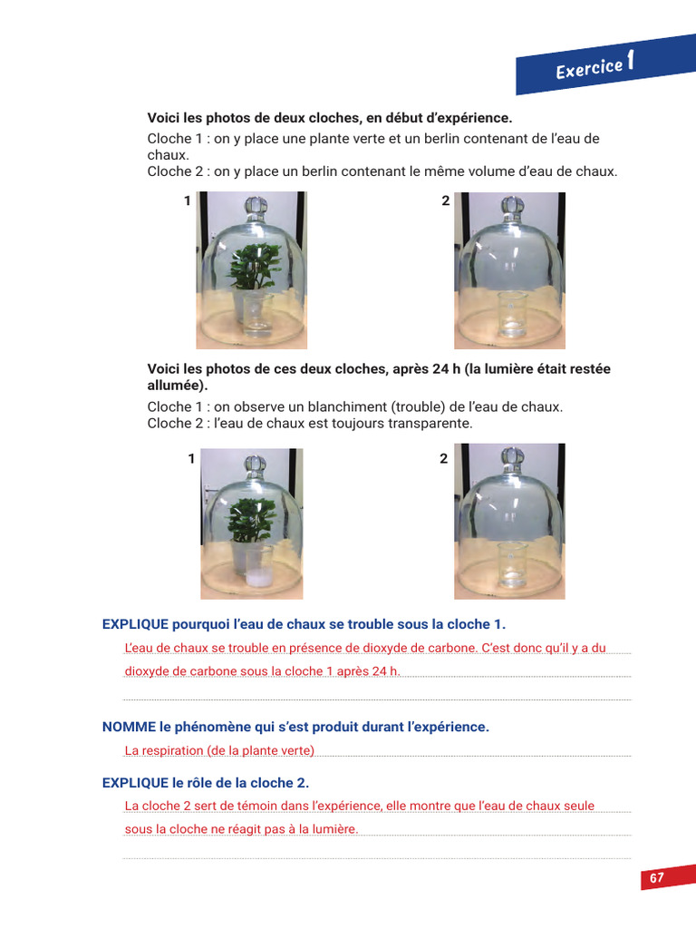 CE1D Sciences Corrige Bonus | PDF