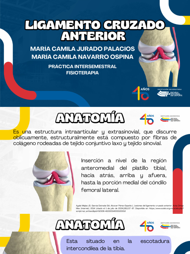 Ligamento Cruzado Anterior | PDF