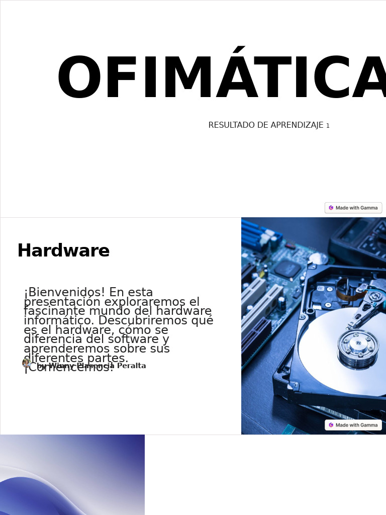 Ra1 1 Ofimatica | PDF
