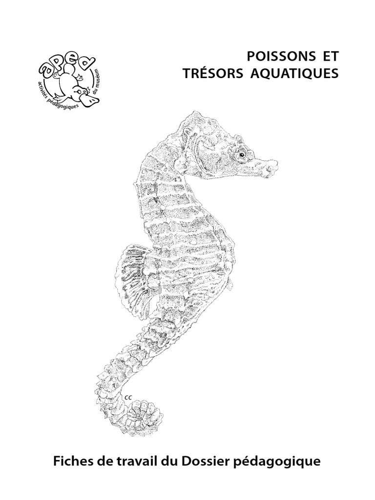 Aped Fiche 06 | PDF