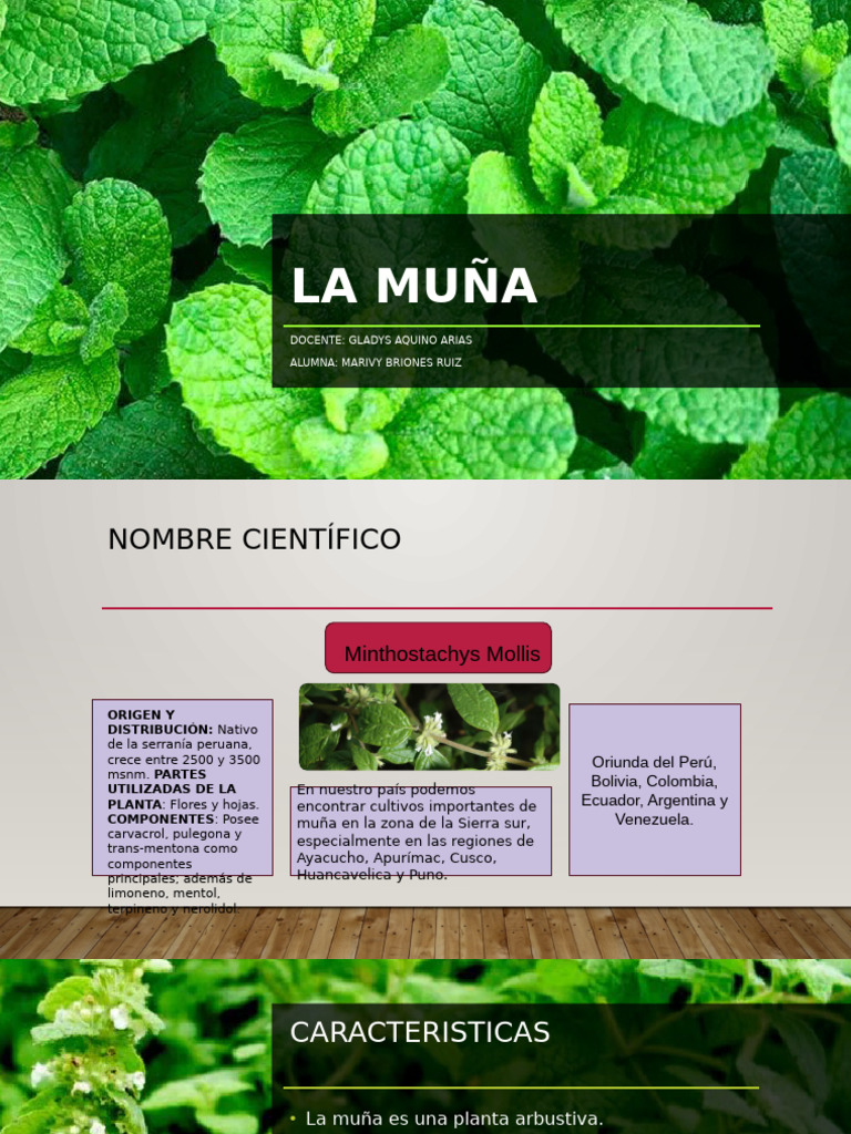 La Muña | PDF