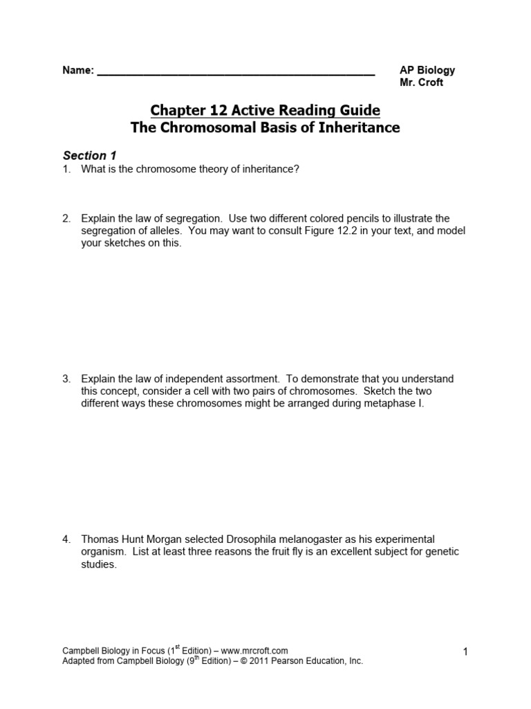 Chapter 12 Active Reading Guide | PDF