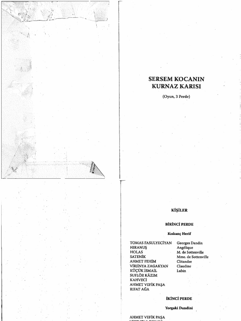 Sersem Kocanin Kurnaz Karisi | PDF