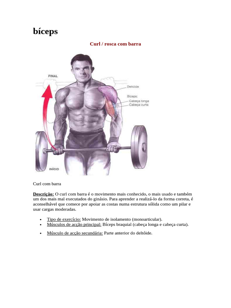 Bíceps | PDF