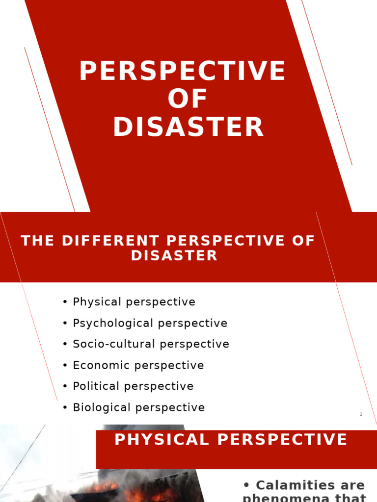 Perspective of Disaster | PDF