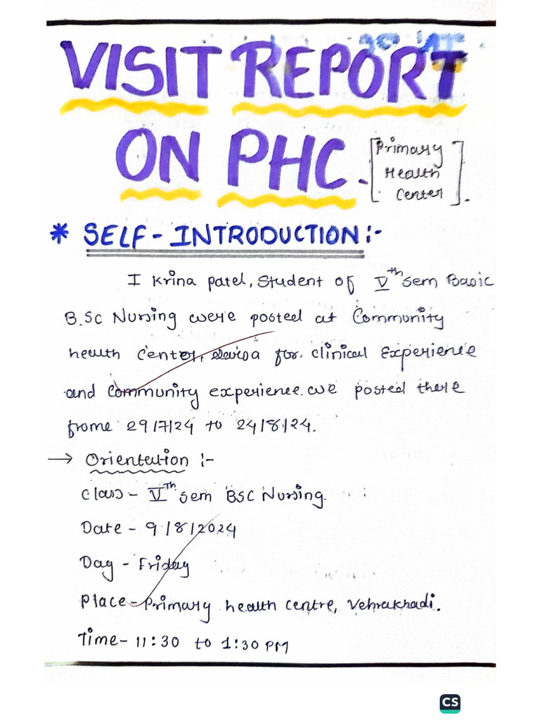 PHC Visit Report | PDF