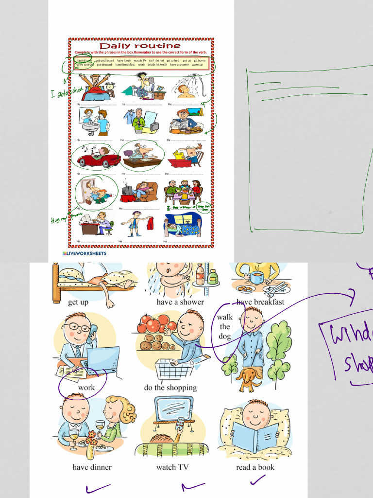 My Daily Routines | PDF