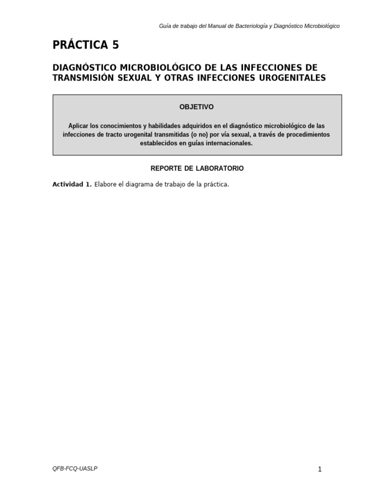 Reporte Practica 5 LB | PDF