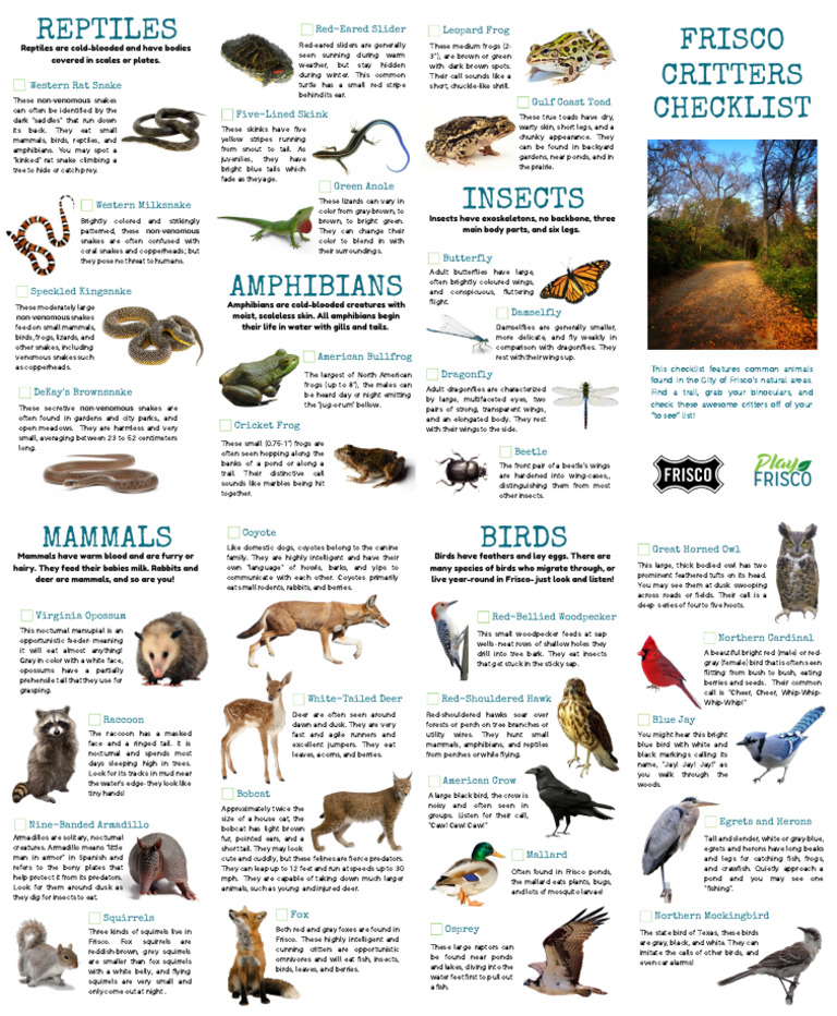 Frisco Critters Checklist | PDF