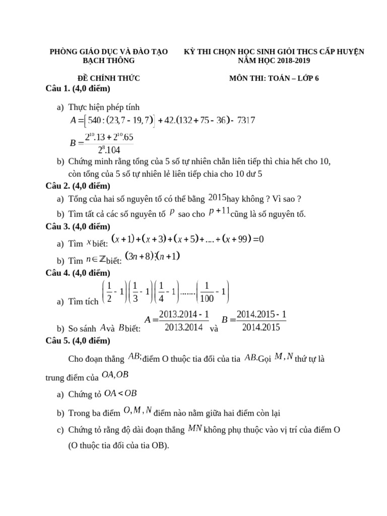 025 - Đề HSG Toán 6 - Bạch Thông - 2018-2019 | PDF