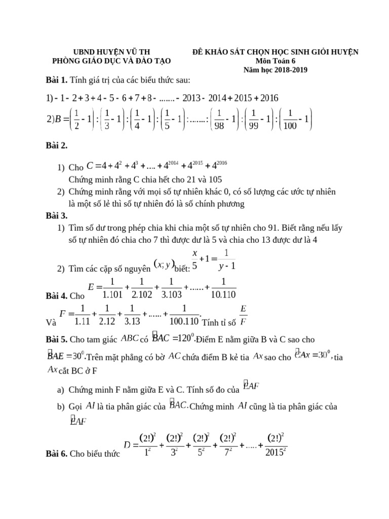 060 - Đề HSG Toán 6 - Vũ th - 2018-2019 | PDF