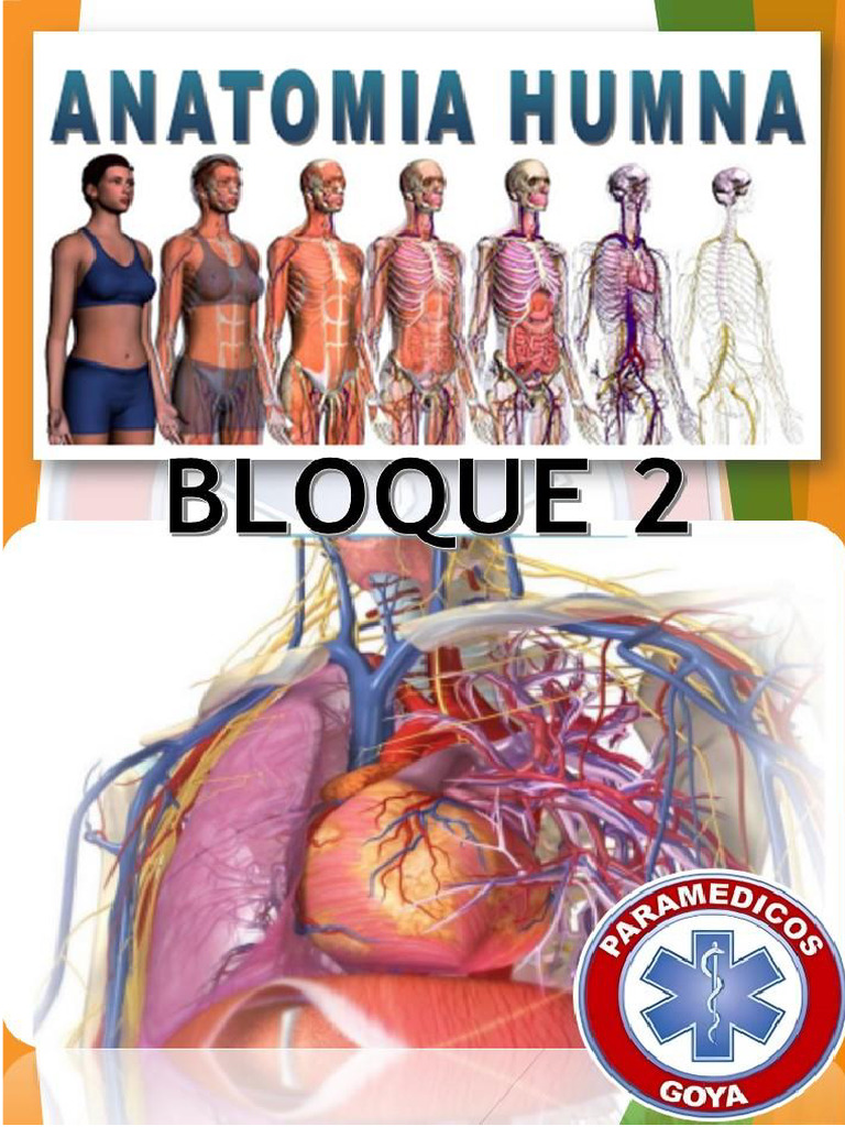 Unidad 2 Bloque 2 | PDF