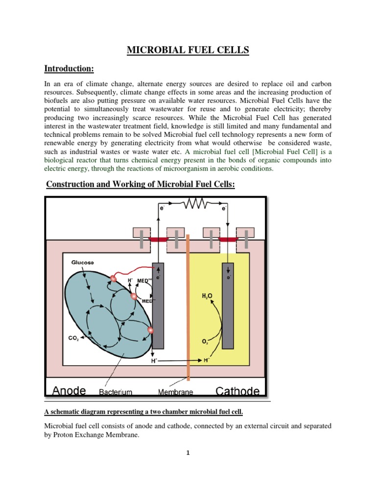 Microbial Fuel Cells Report | Download Free PDF | Electron Transport ...