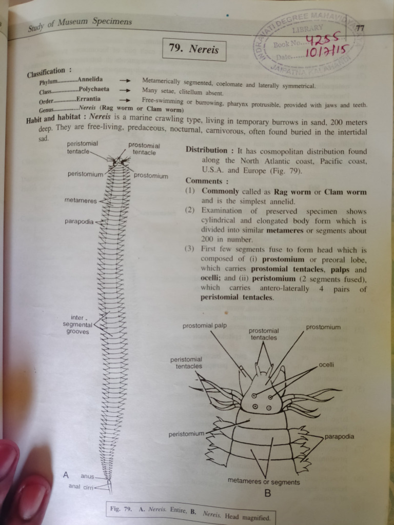 2nd Semester Practical | PDF