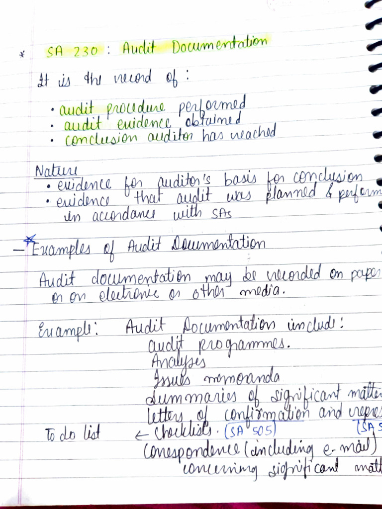 Sa 230 Audit Documentation | PDF