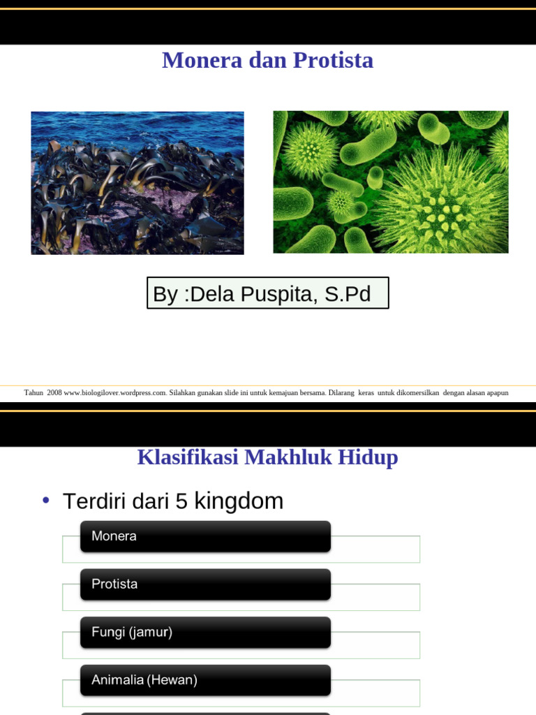 Protista | PDF