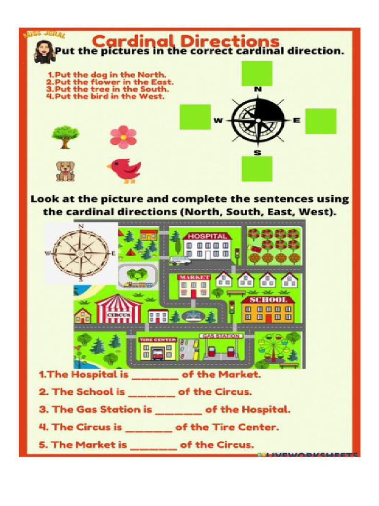 Worksheet Cardinal Directions | PDF