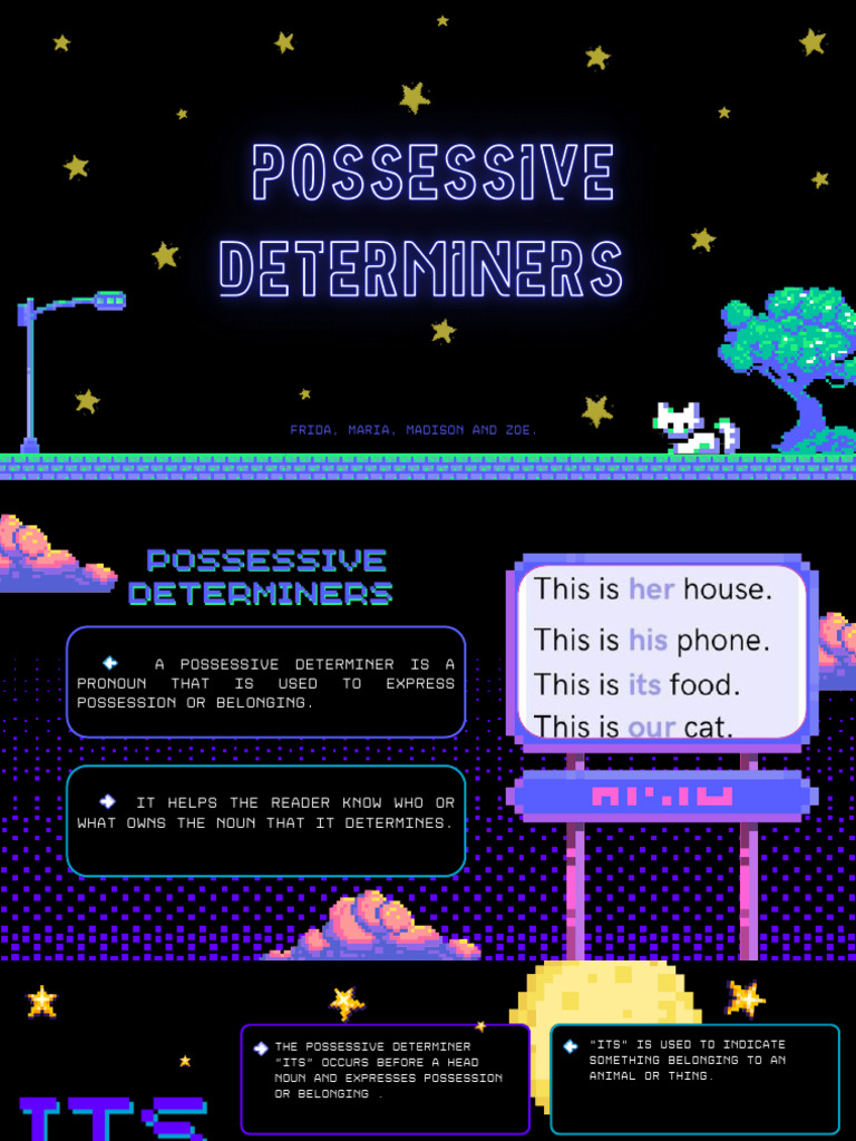 Possessive Determiners It's and Generic Their | PDF | Philosophy ...