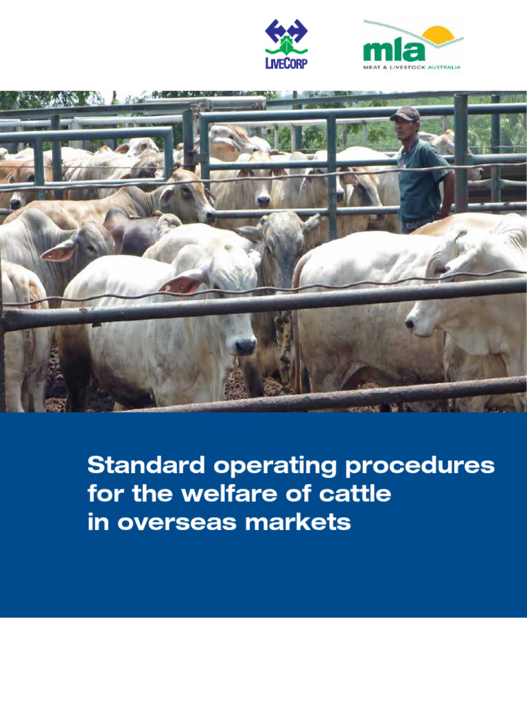 SOP For Cattle - English | PDF