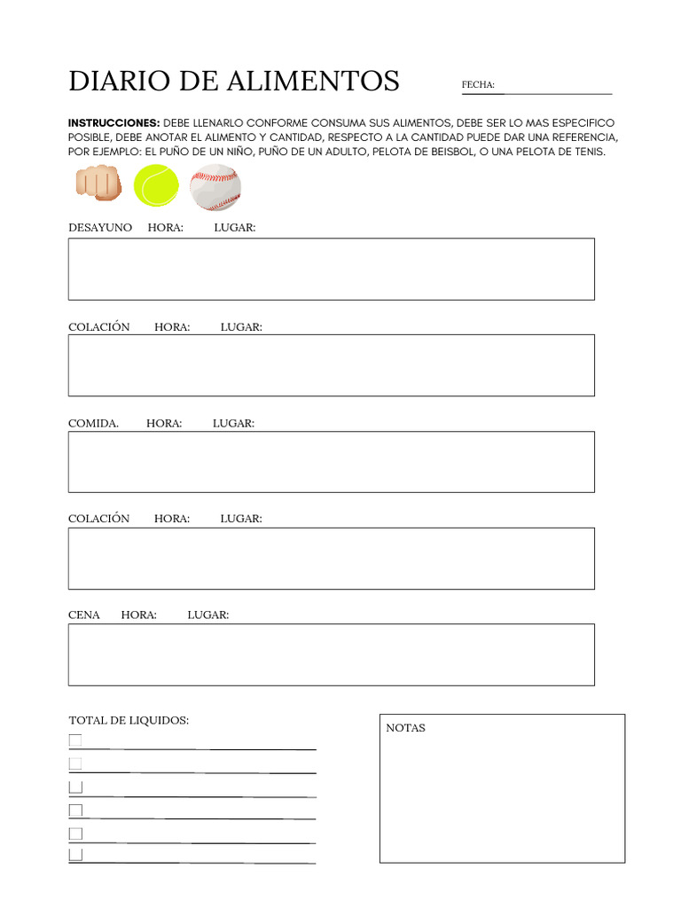 Diario de Alimentos-2 | PDF