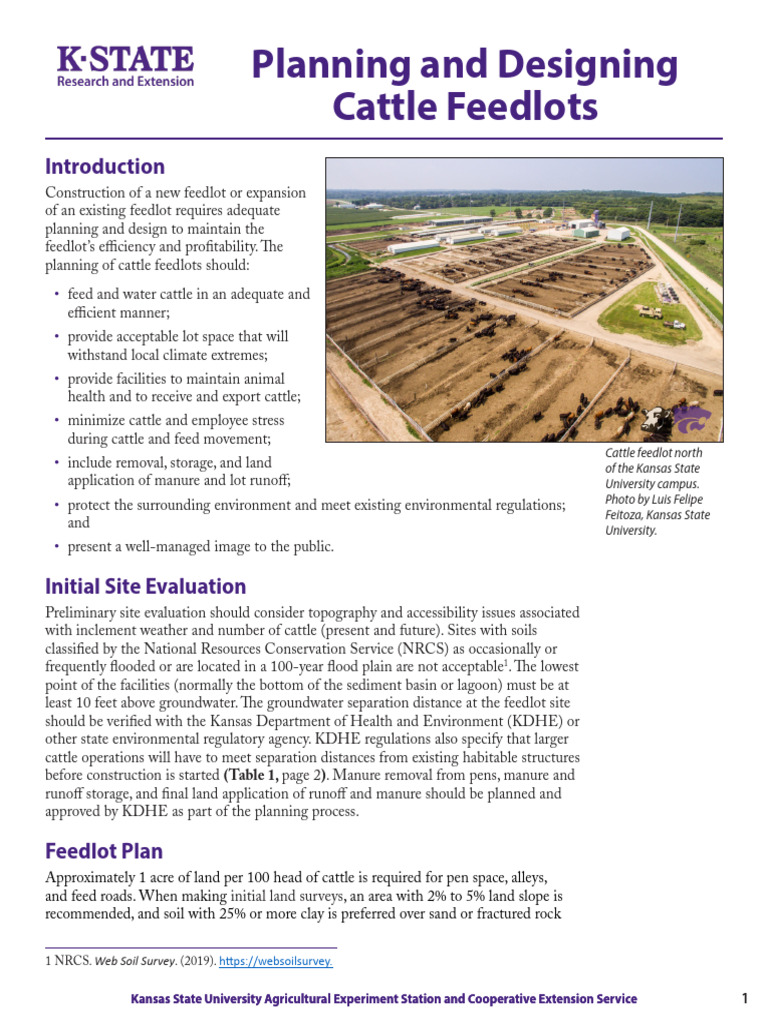 Planning and Designing Cattle Feedlots - MF2316 | PDF | Cattle ...