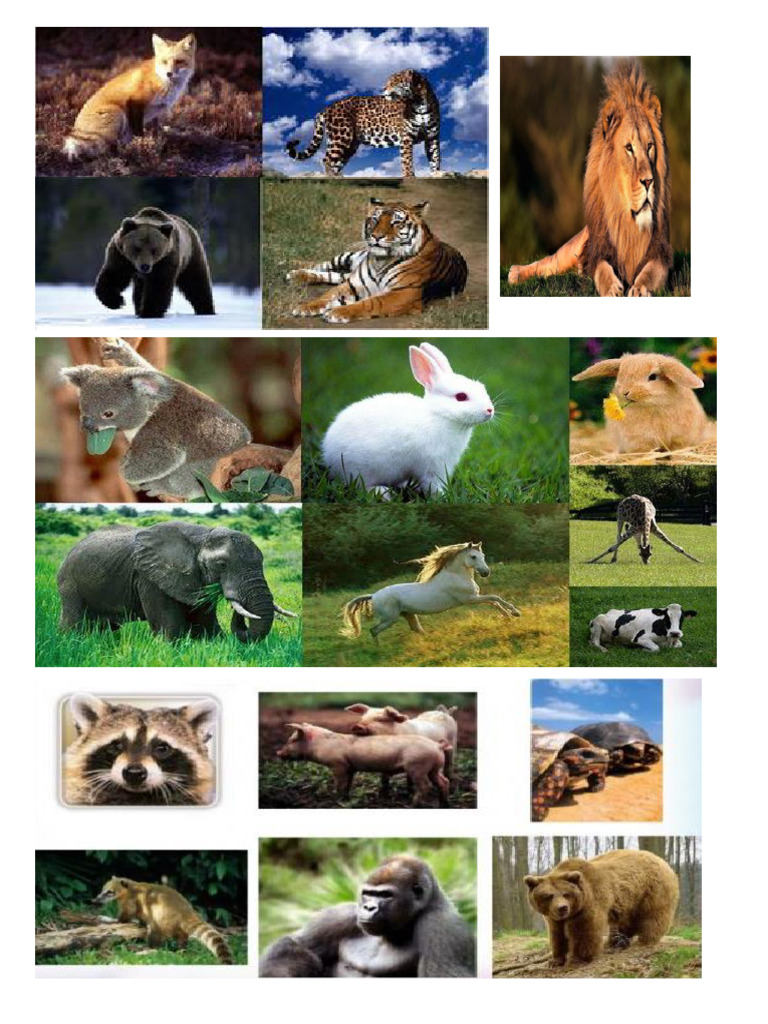 animales | PDF
