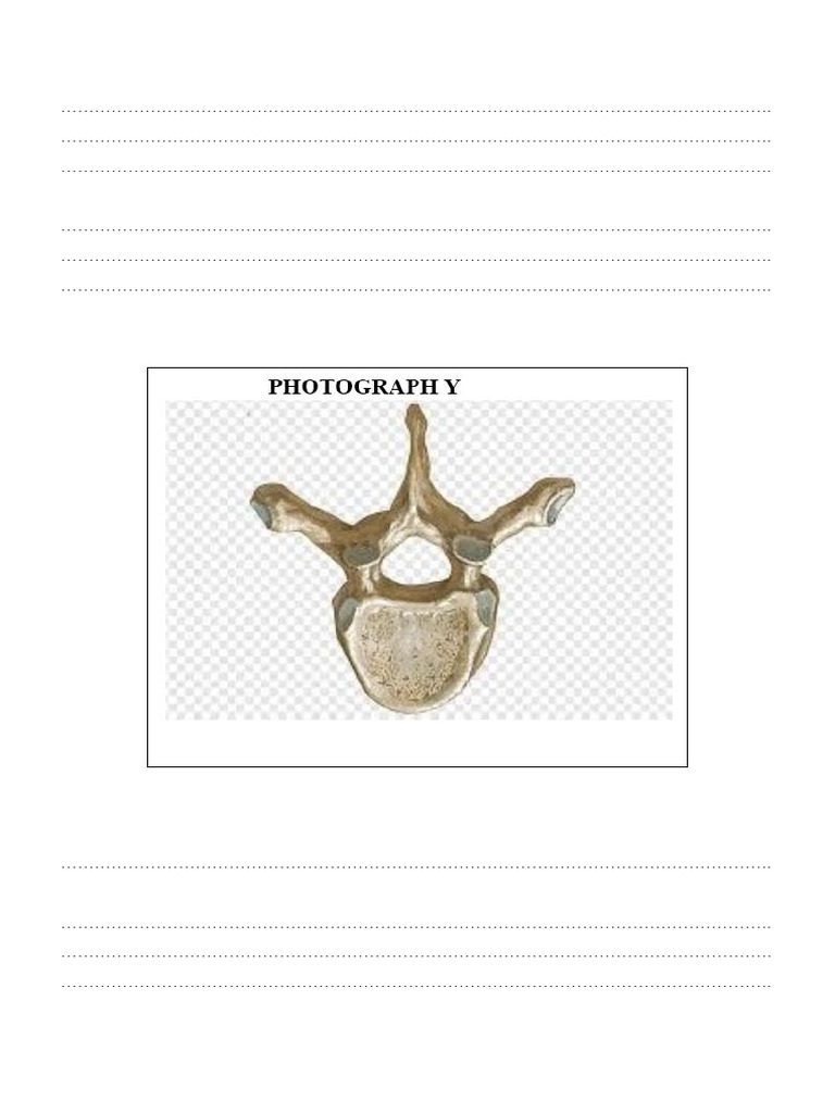 BIOLOGY FORM 4 BIO | PDF