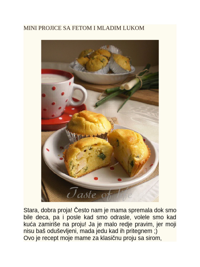 Mini Projice Sa Fetom I Mladim Lukom | PDF