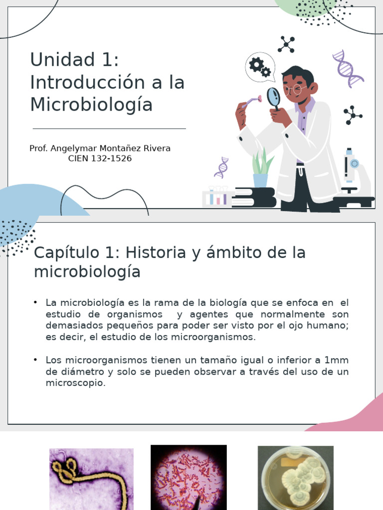 Presentacion - Capitulo 1 | PDF