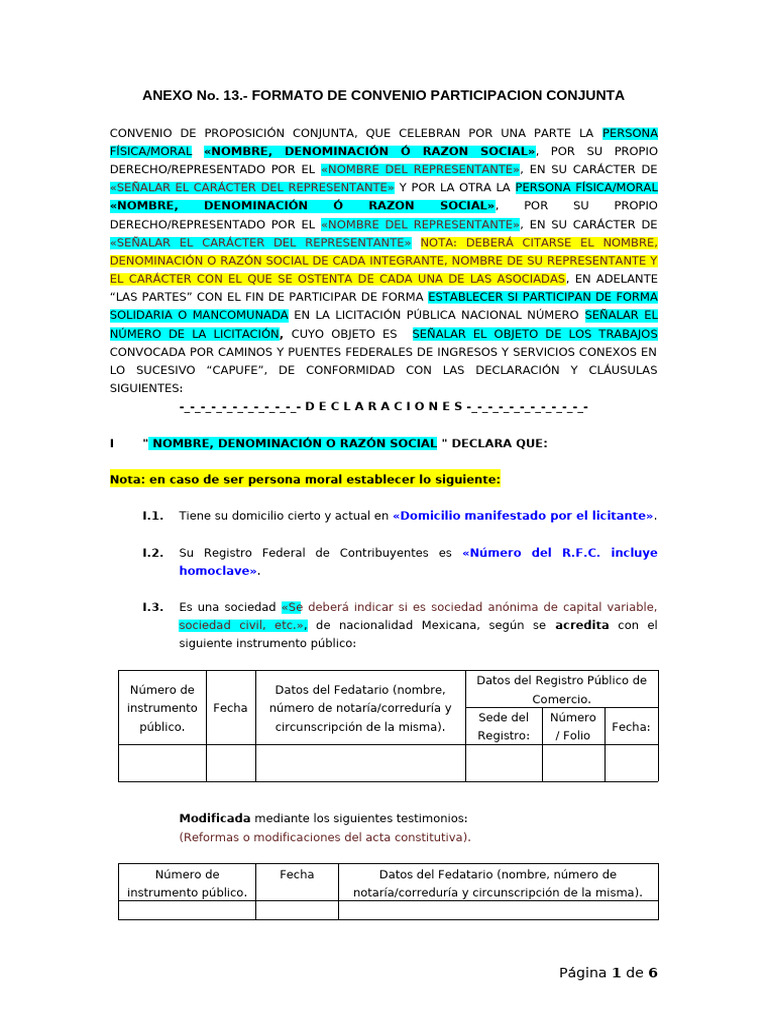 4 - Anexo 13. - Formato de Convenio Participacion Conjunta | PDF