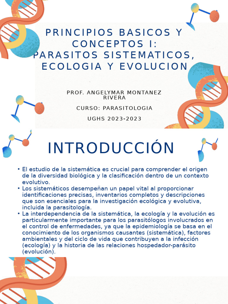 Presentacion Capitulo 2 | PDF