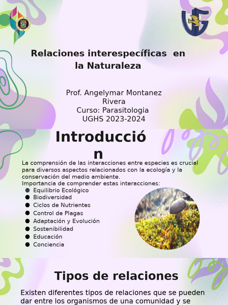 Conceptos Basicos (Cap 1) | PDF