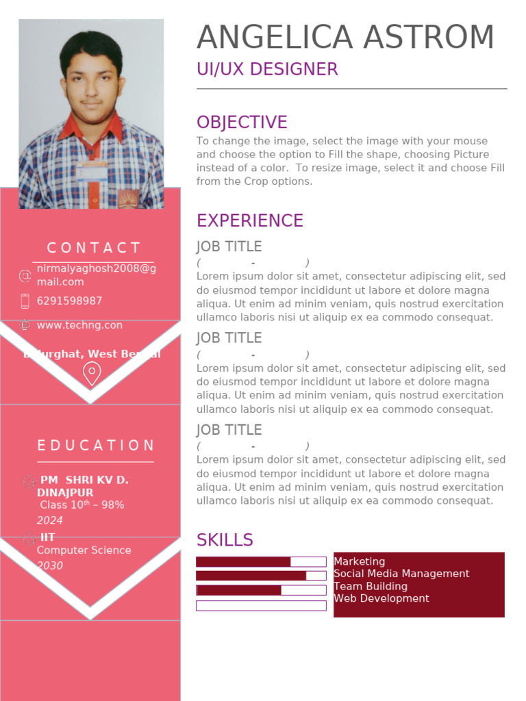 Angelica Astrom | PDF