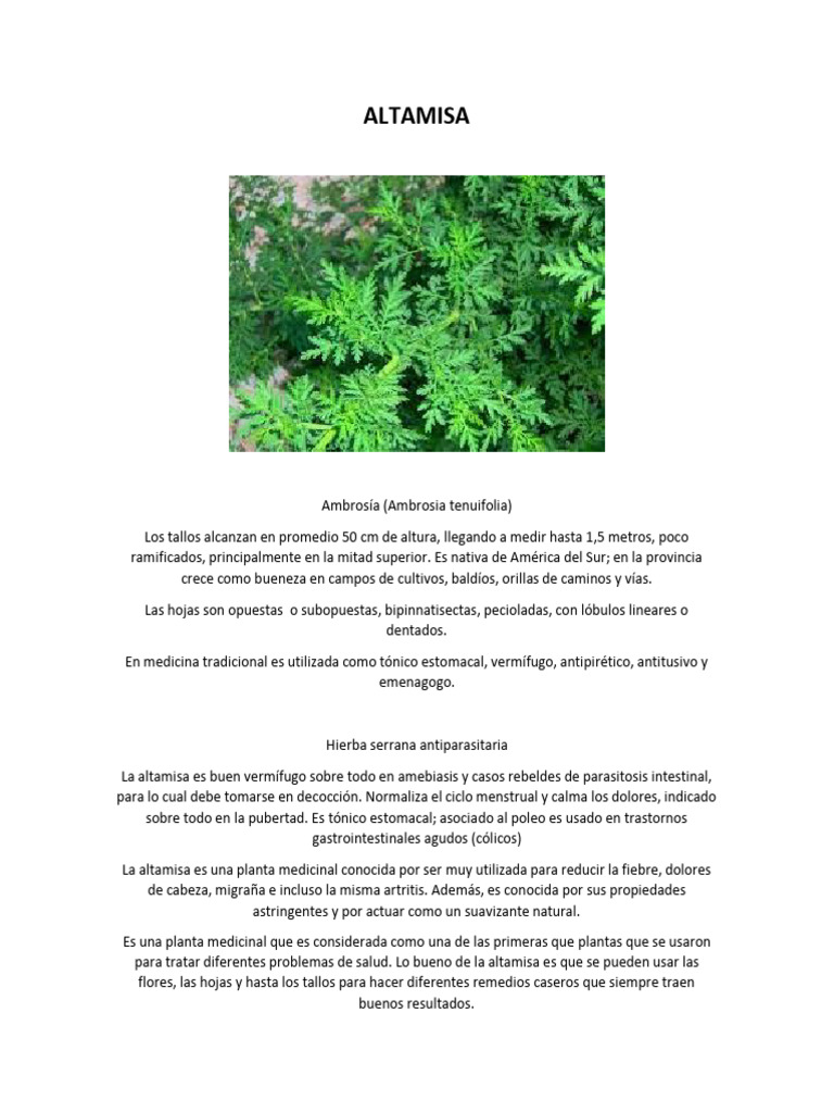 Ficha Altamisa y Suico | PDF