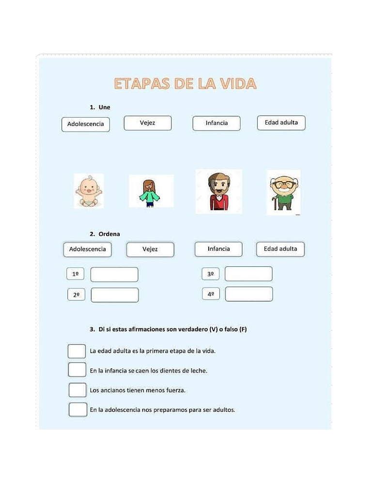 Etapas de La Vida | PDF