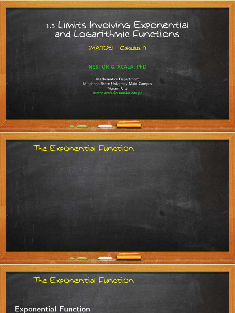 1.6 Limits Involving Exponential and Logarithmic Functions - 112119 | PDF