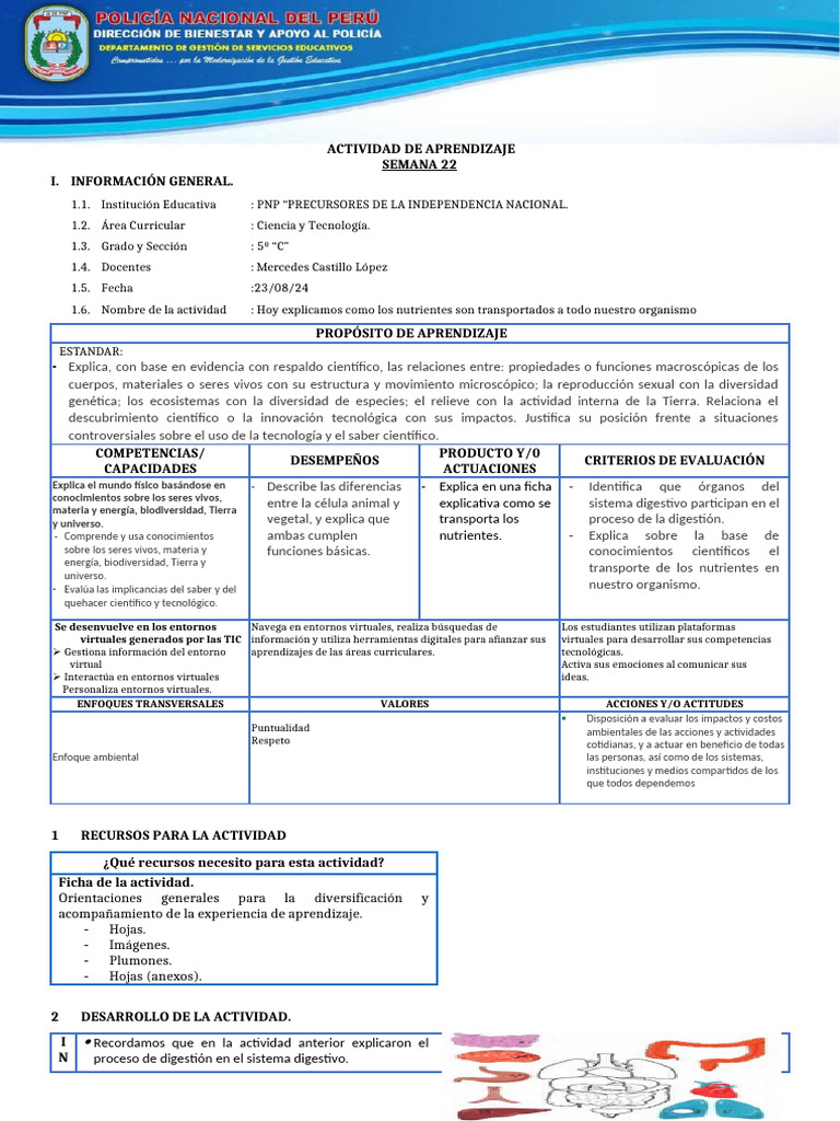 S22-S1-CIEC. y TEC. | PDF