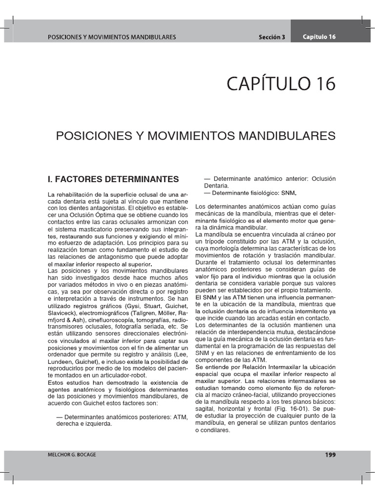 Posiciones y Movimientos Mandibulares | PDF