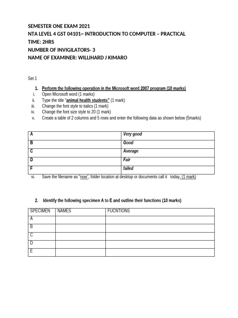 COMPUTER PRACTICAL | PDF
