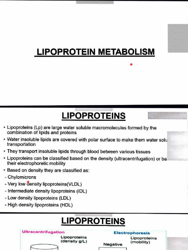 Lipoprotein Metabolism | PDF