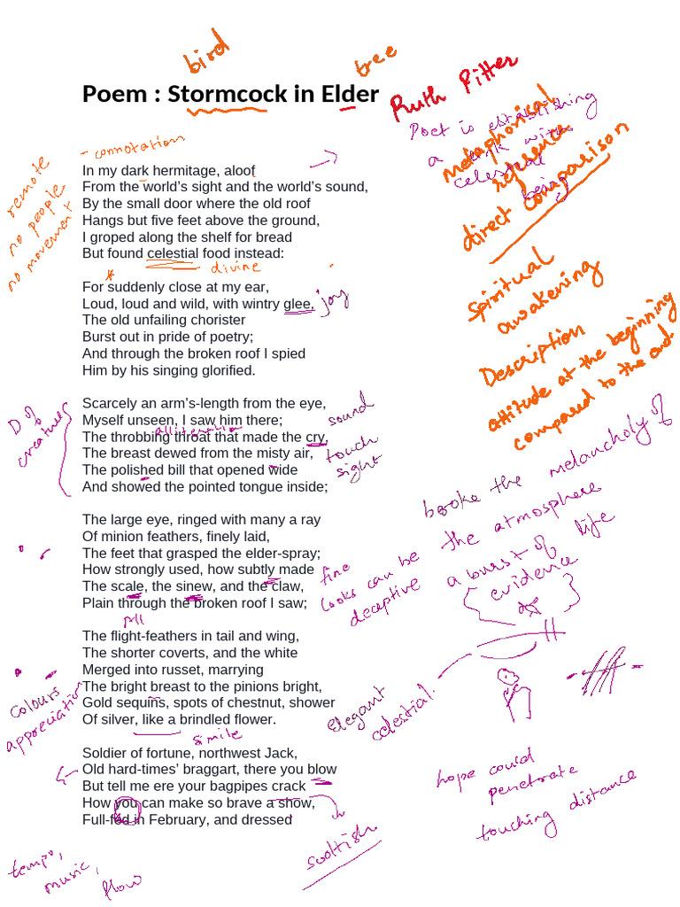 Poem Stormcock in The Elder - Ruth Pitter | PDF | Poetry